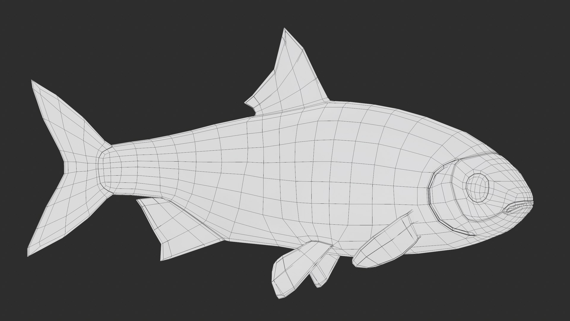 3D Model Fish Rudd PBR - TurboSquid 2088327