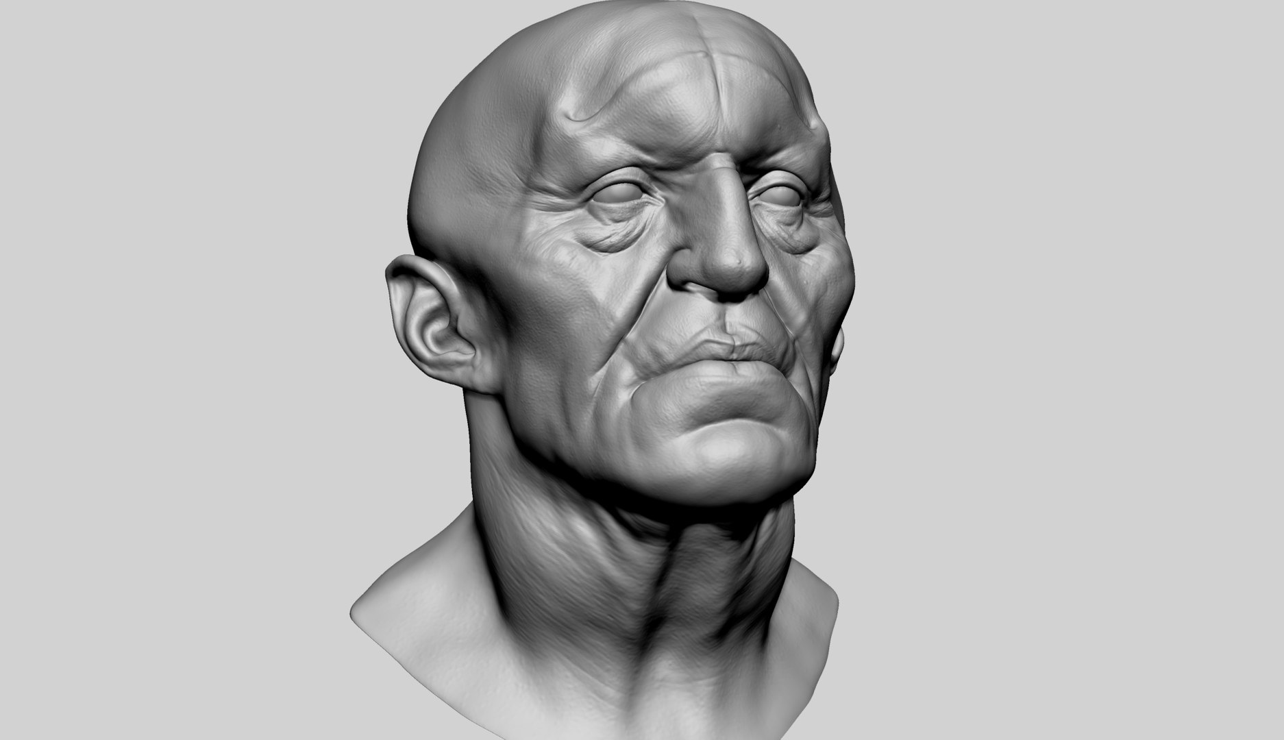 3D Creature Head Anatomy Model - TurboSquid 1547959