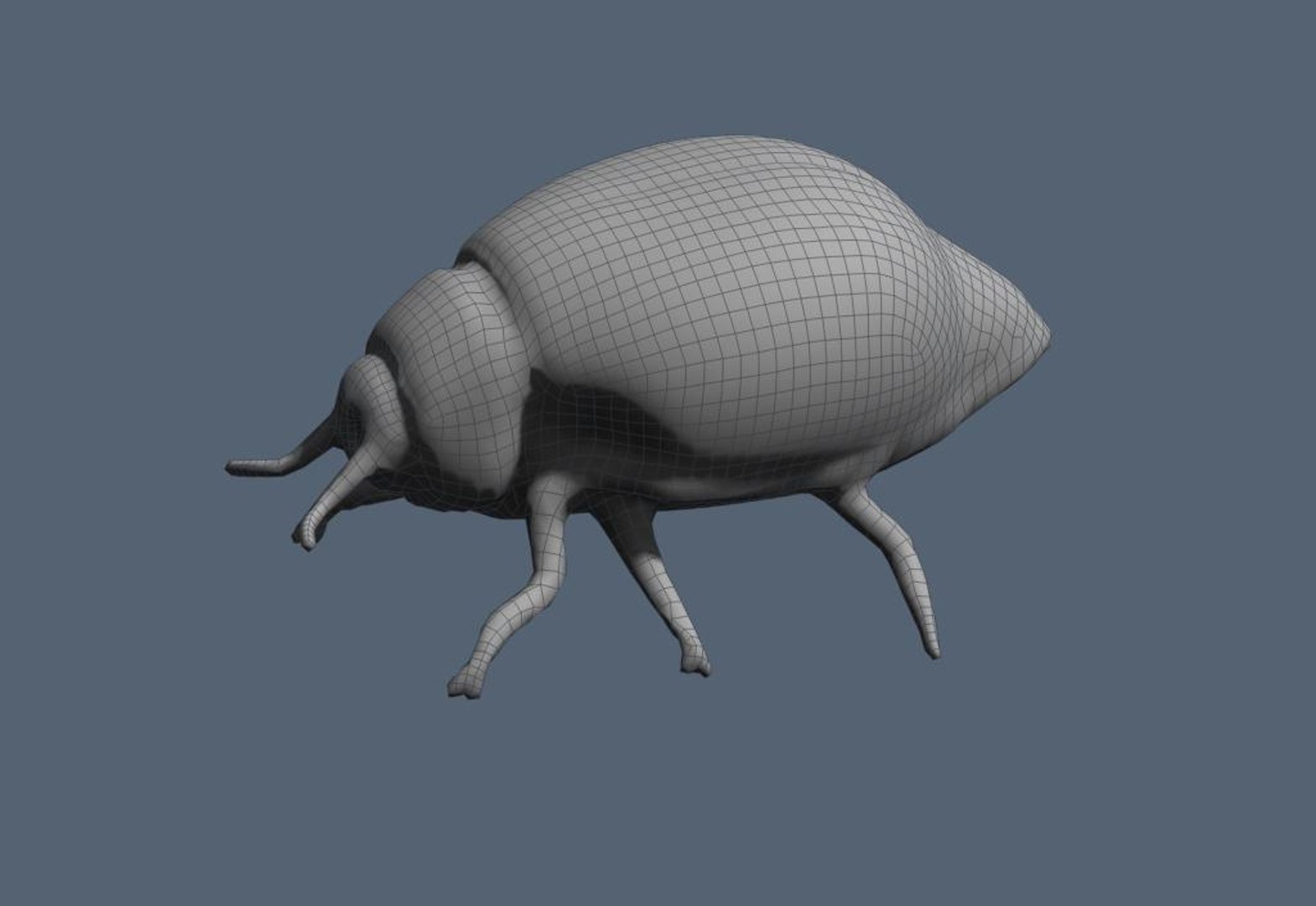 3D Ladybug Model - TurboSquid 1302663