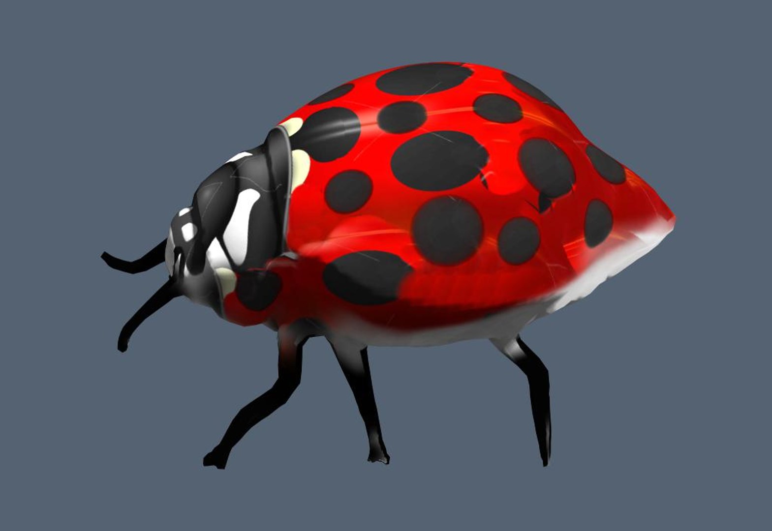3D Ladybug Model - TurboSquid 1302663