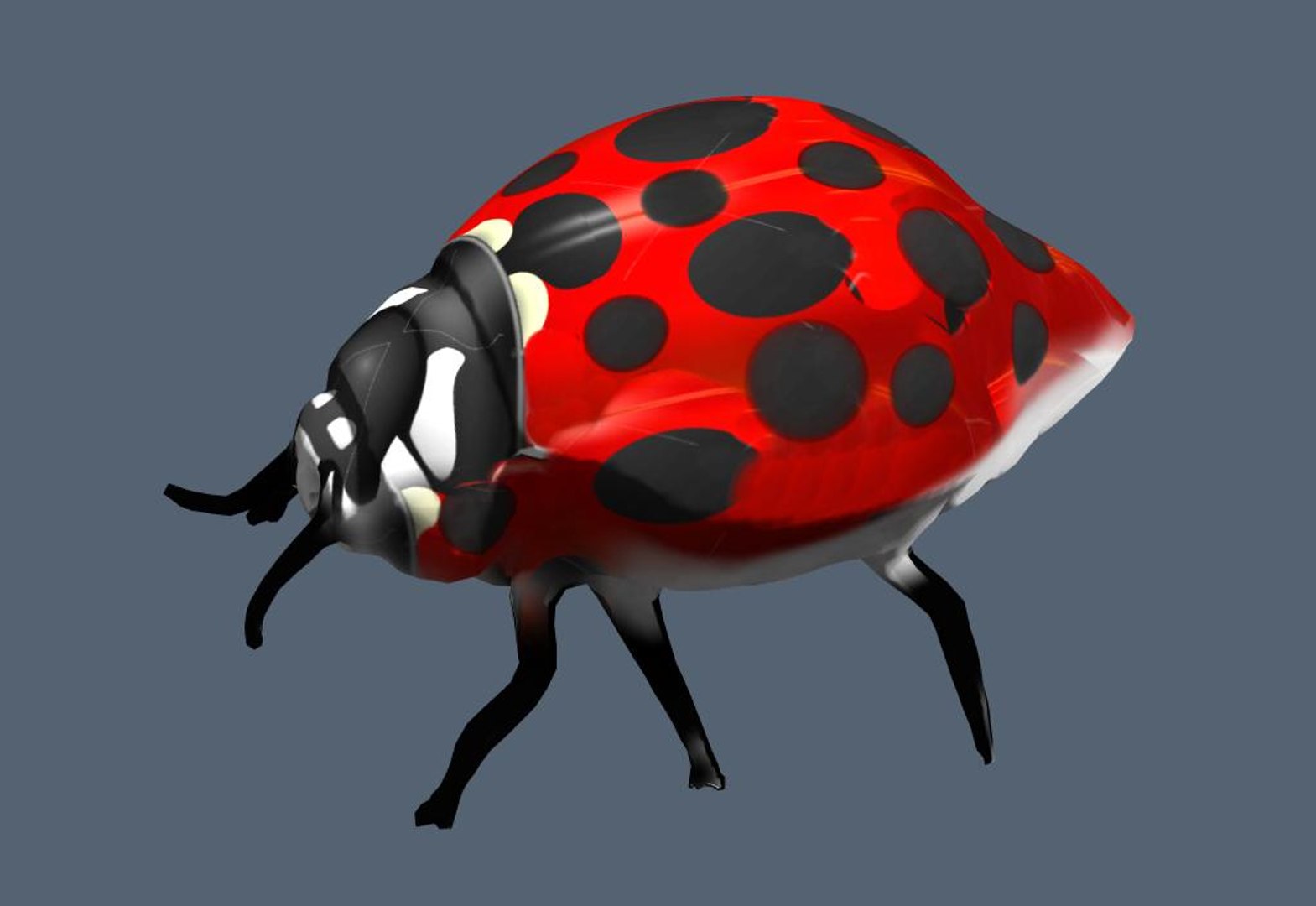 3D Ladybug Model - TurboSquid 1302663
