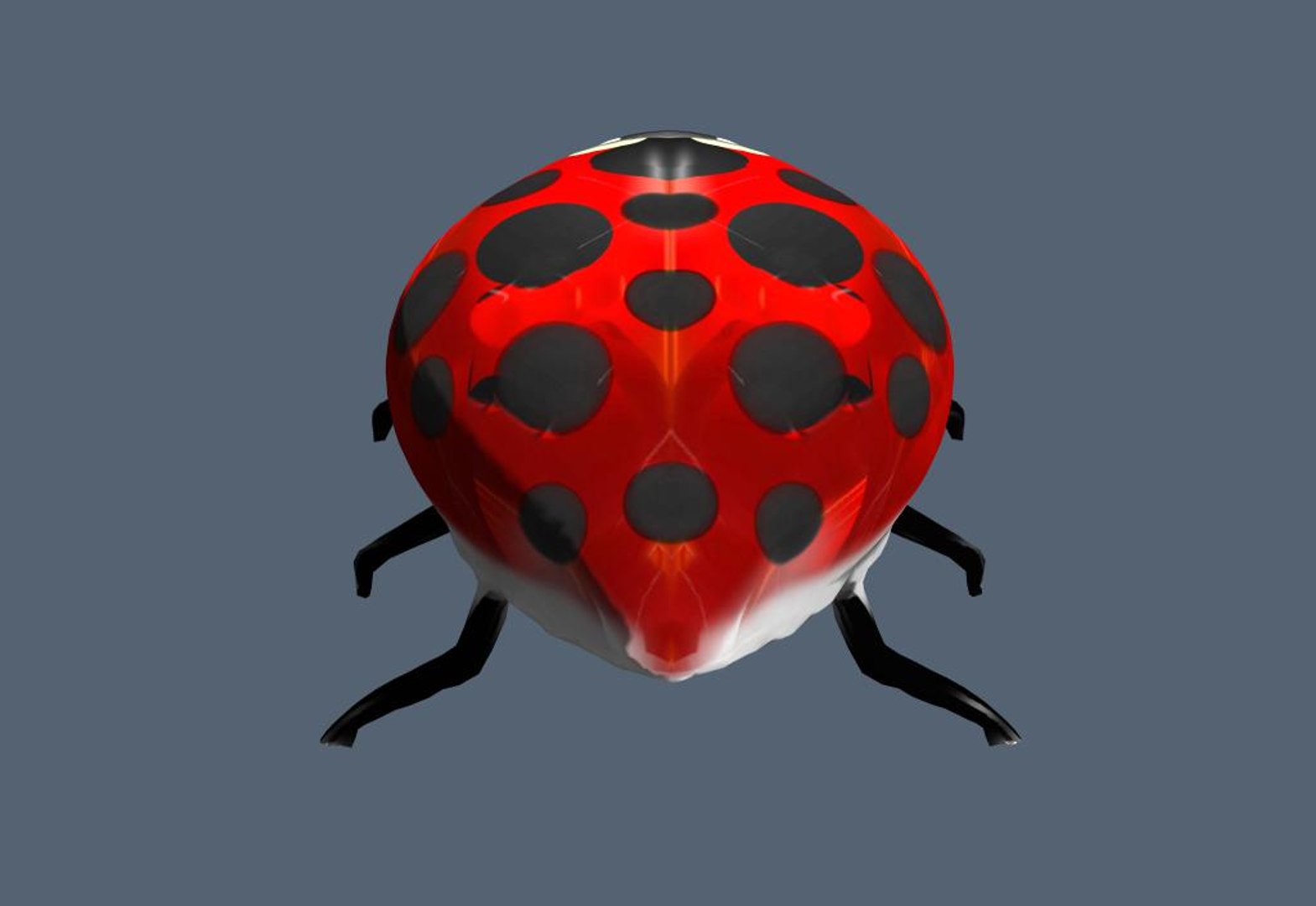 3D Ladybug Model - TurboSquid 1302663