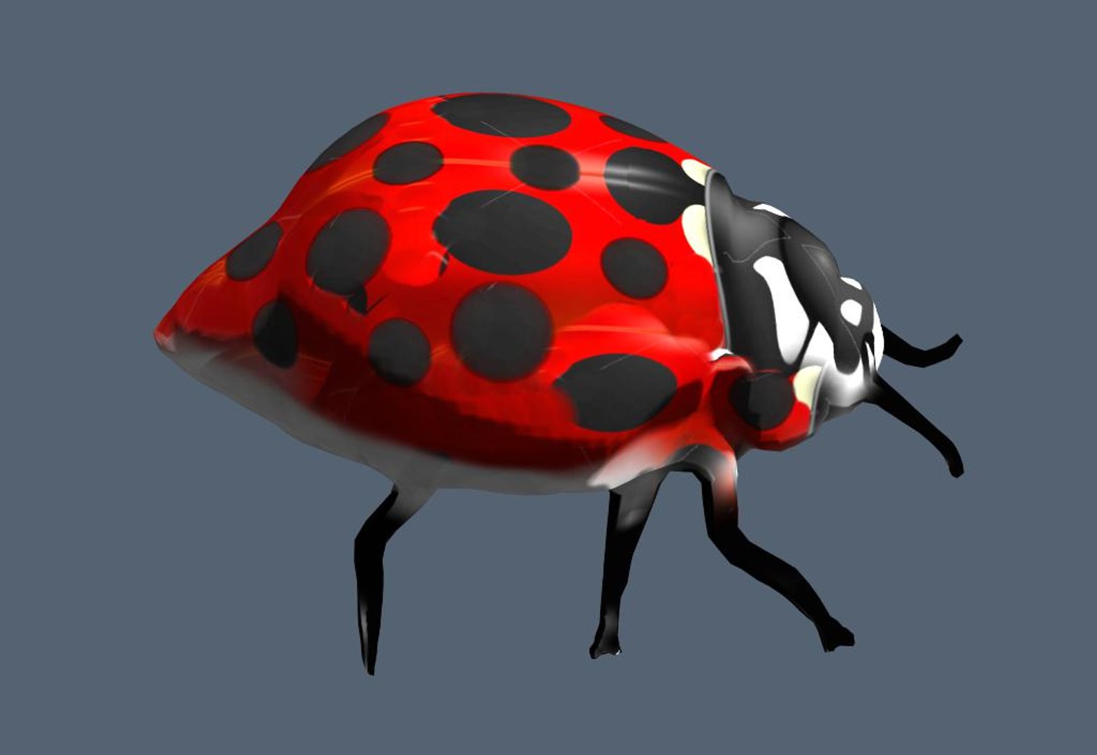 3D Ladybug Model - TurboSquid 1302663