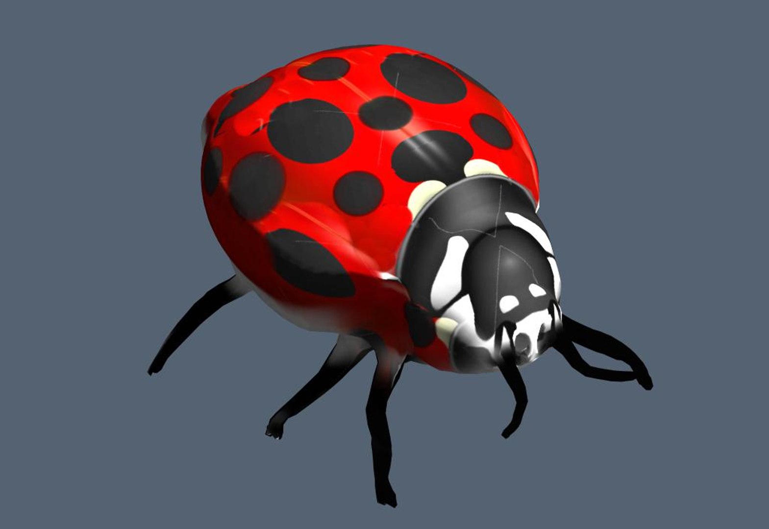 3D Ladybug Model - TurboSquid 1302663