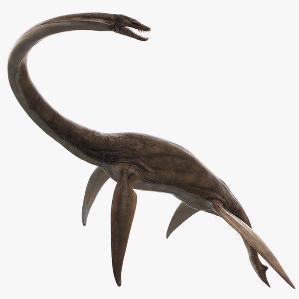 3D plesiosaur rigged - TurboSquid 1318063