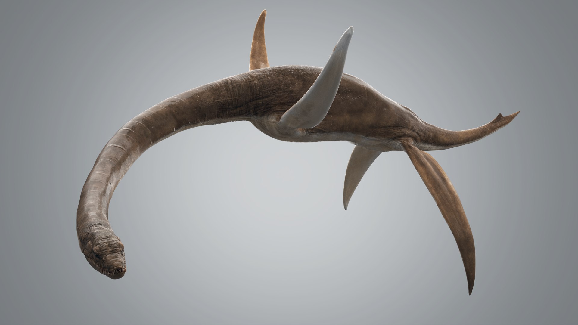 3D plesiosaur rigged - TurboSquid 1318063