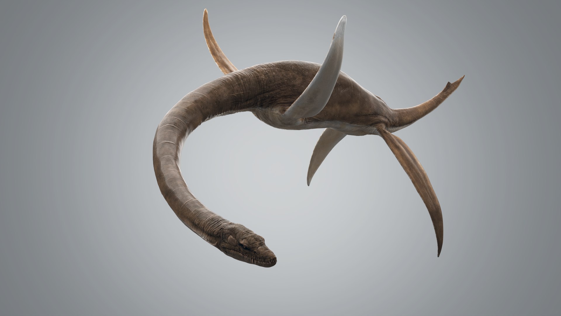 3D plesiosaur rigged - TurboSquid 1318063