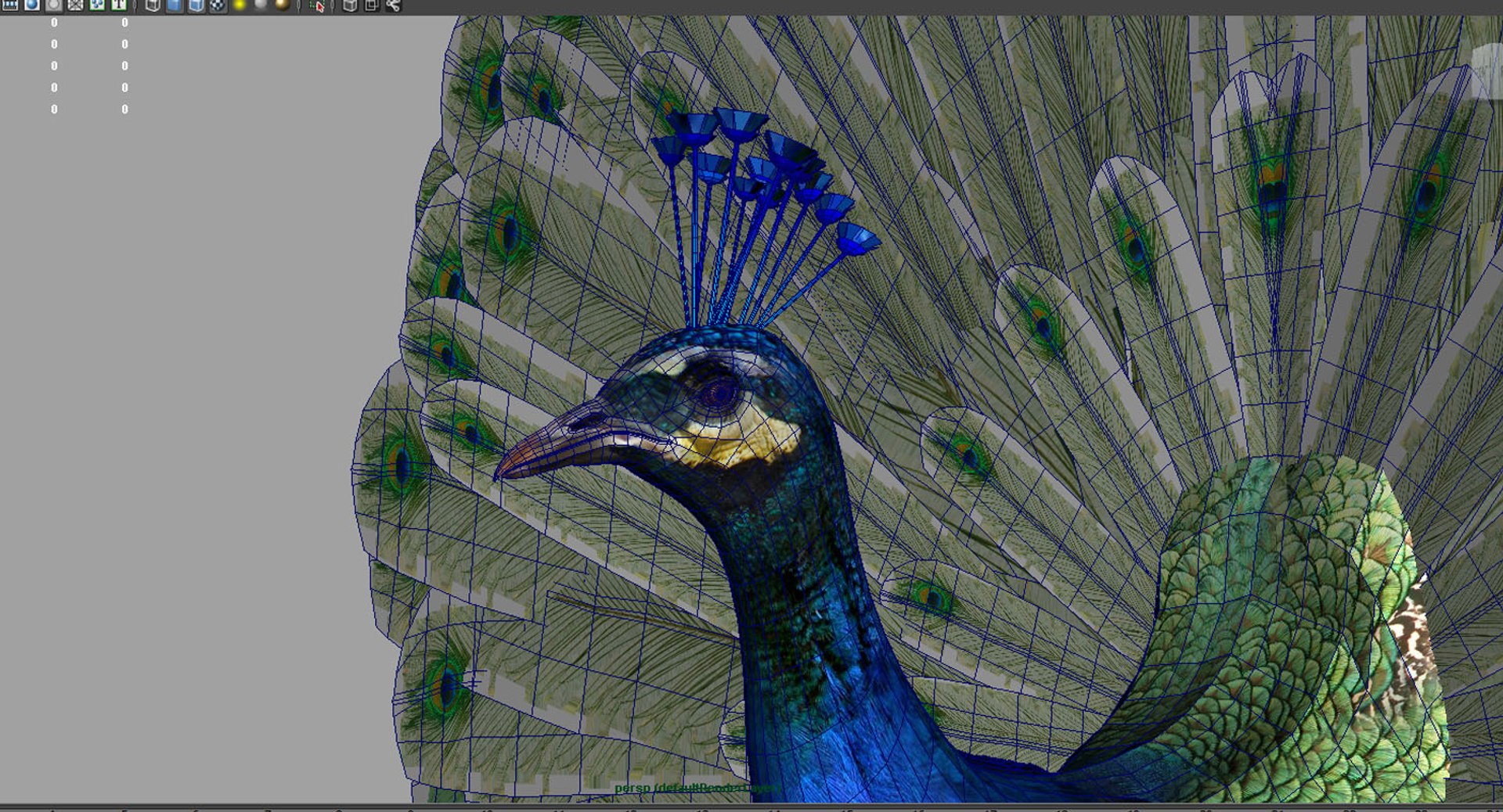 3D Model Peacock - TurboSquid 1542592