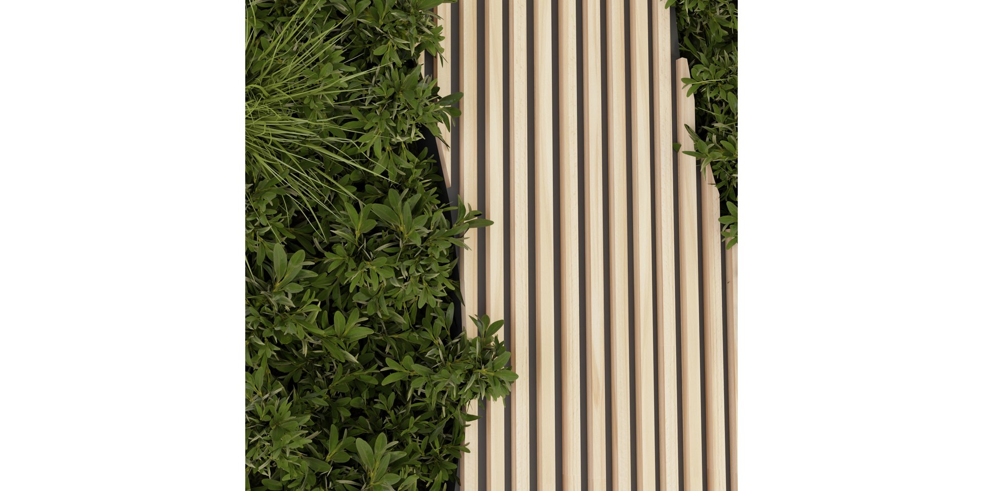 3D Collection Plant Vol 331 -blender Model - TurboSquid 2093081