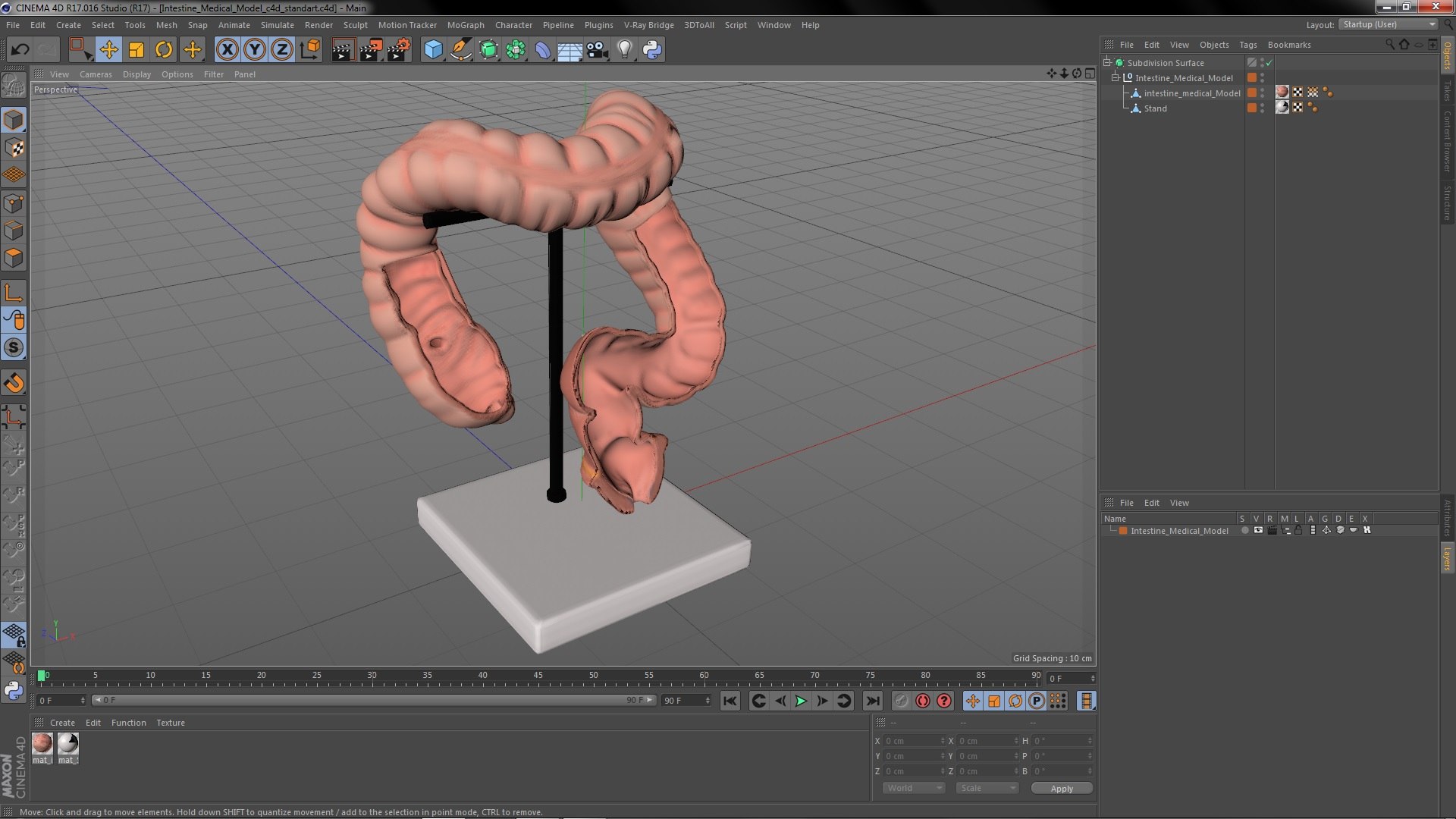 Intestine Medical Model 3D - TurboSquid 2068869