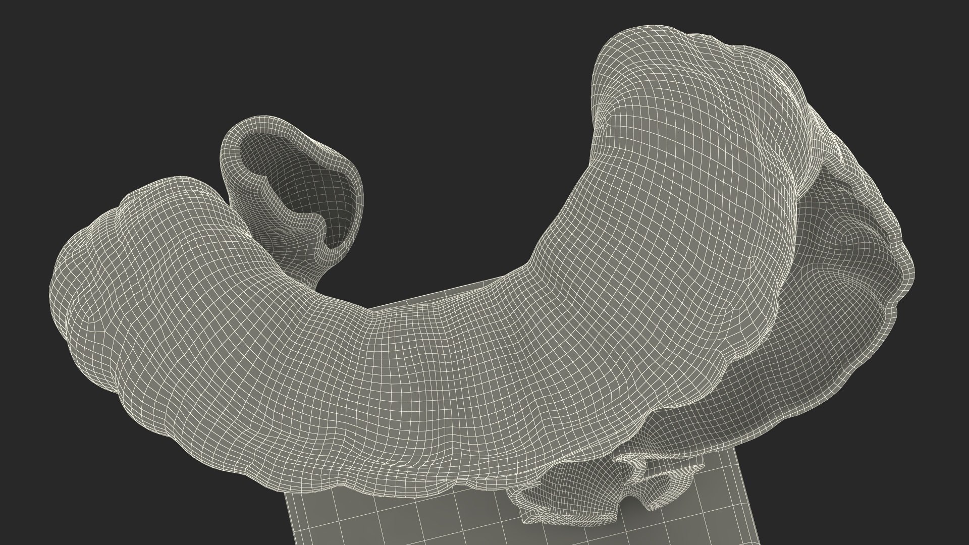 Intestine Medical Model 3D - TurboSquid 2068869