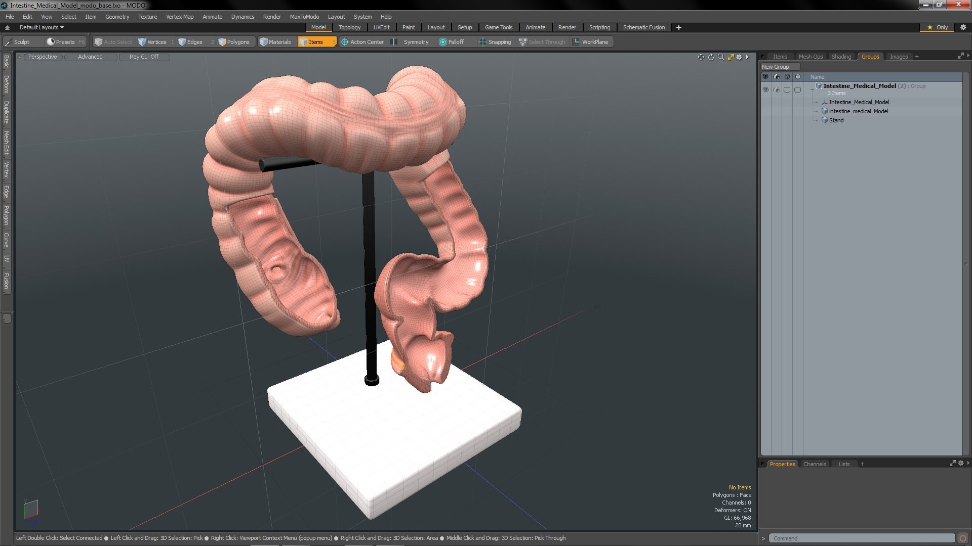 Intestine Medical Model 3D - TurboSquid 2068869