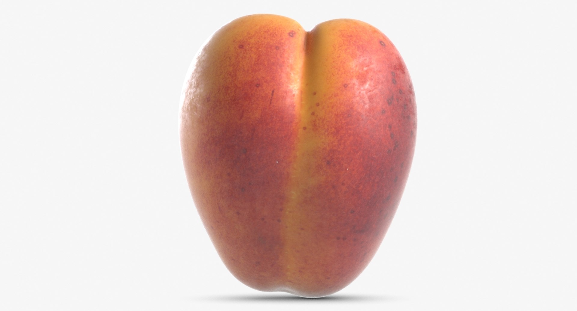 Apricot 3D Model - TurboSquid 1298427