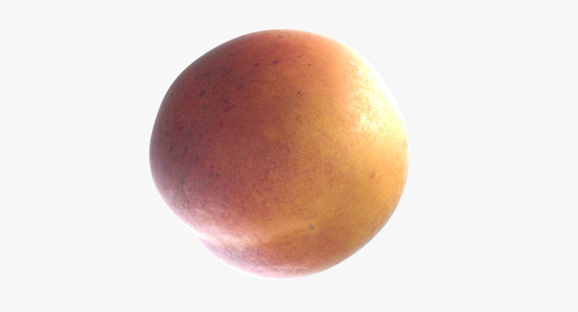Apricot 3D Model - TurboSquid 1298427