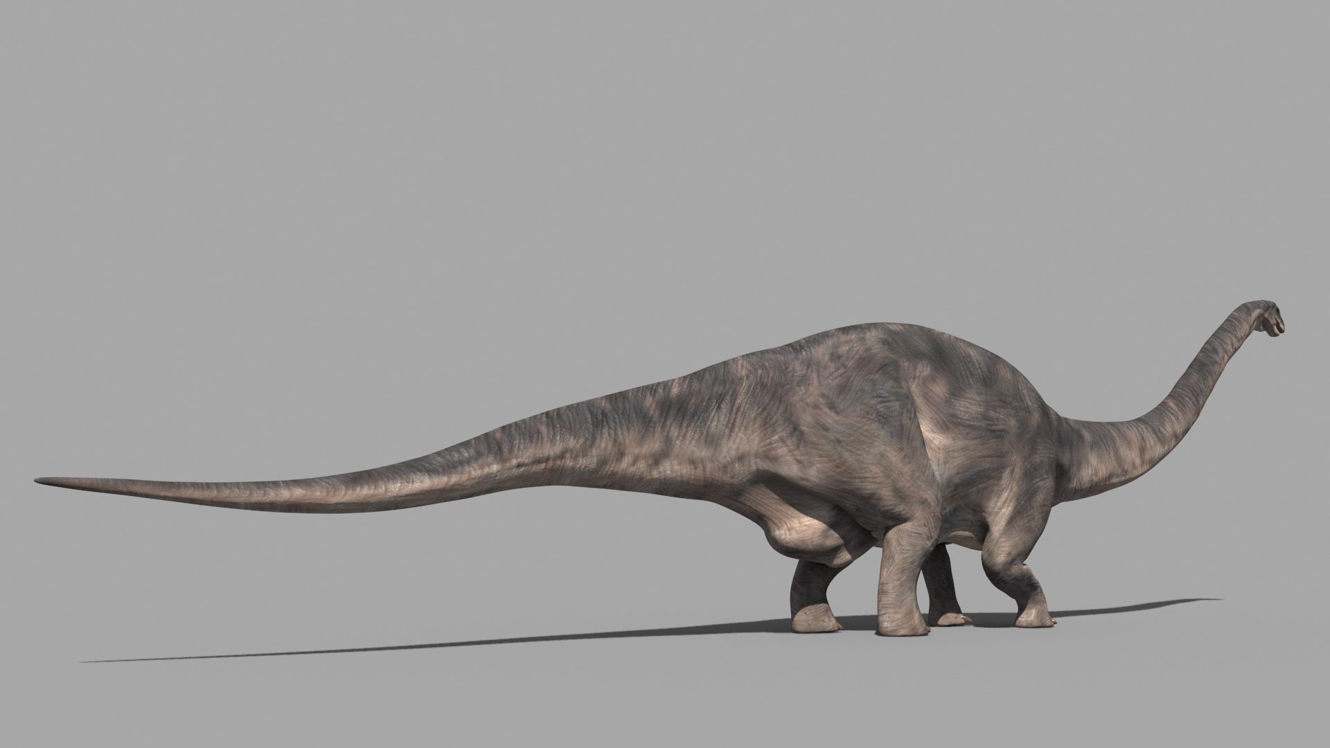 3D Apatosaur Forever - 8K - TurboSquid 2070193