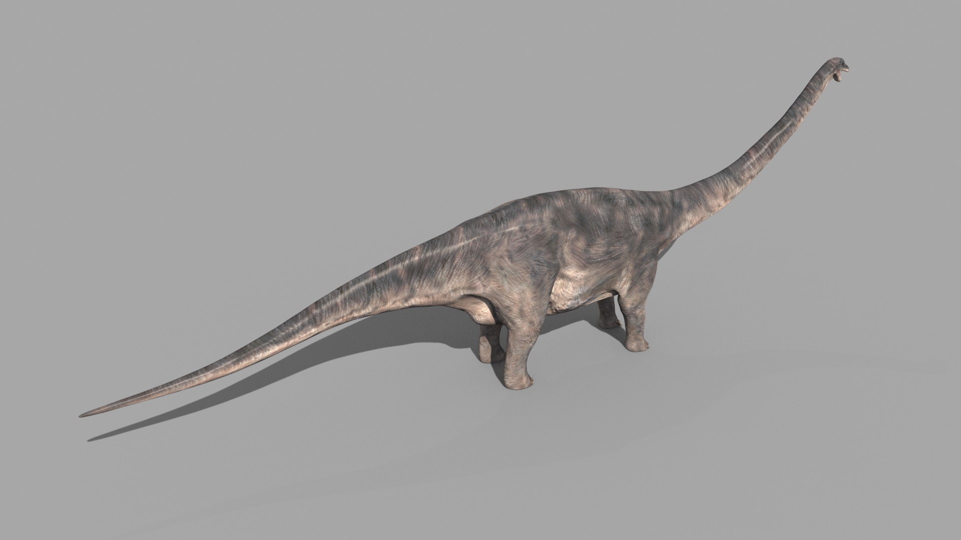 3D Apatosaur Forever - 8K - TurboSquid 2070193