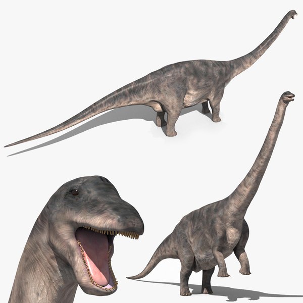 Apatosaurus 3D Models for Download | TurboSquid