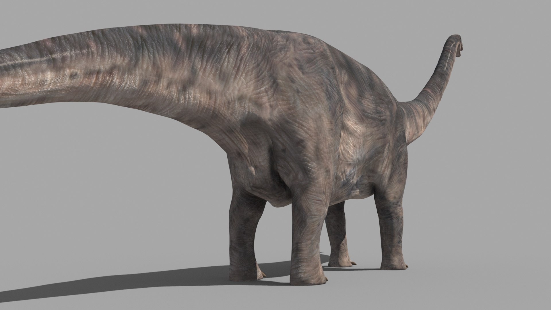 3D Apatosaur Forever - 8K - TurboSquid 2070193