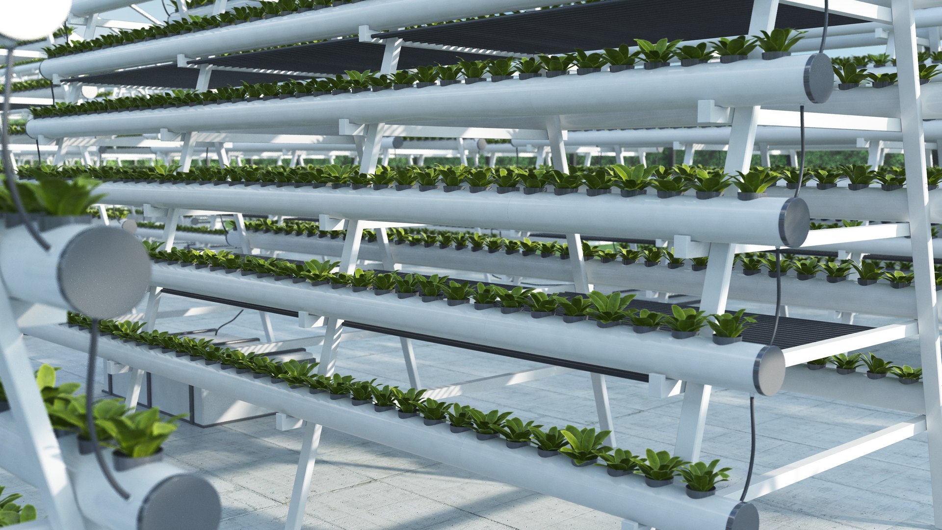 Hydroponics Vertical Farm 03 3D Model - TurboSquid 1882527