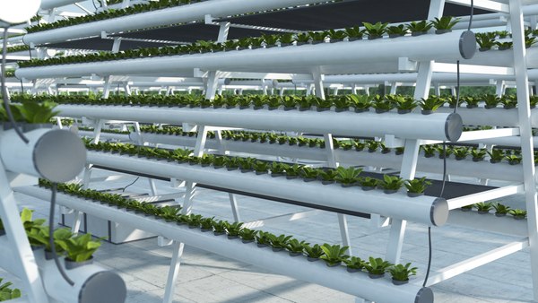 Hydroponics Vertical Farm 03 3D model - TurboSquid 1882527