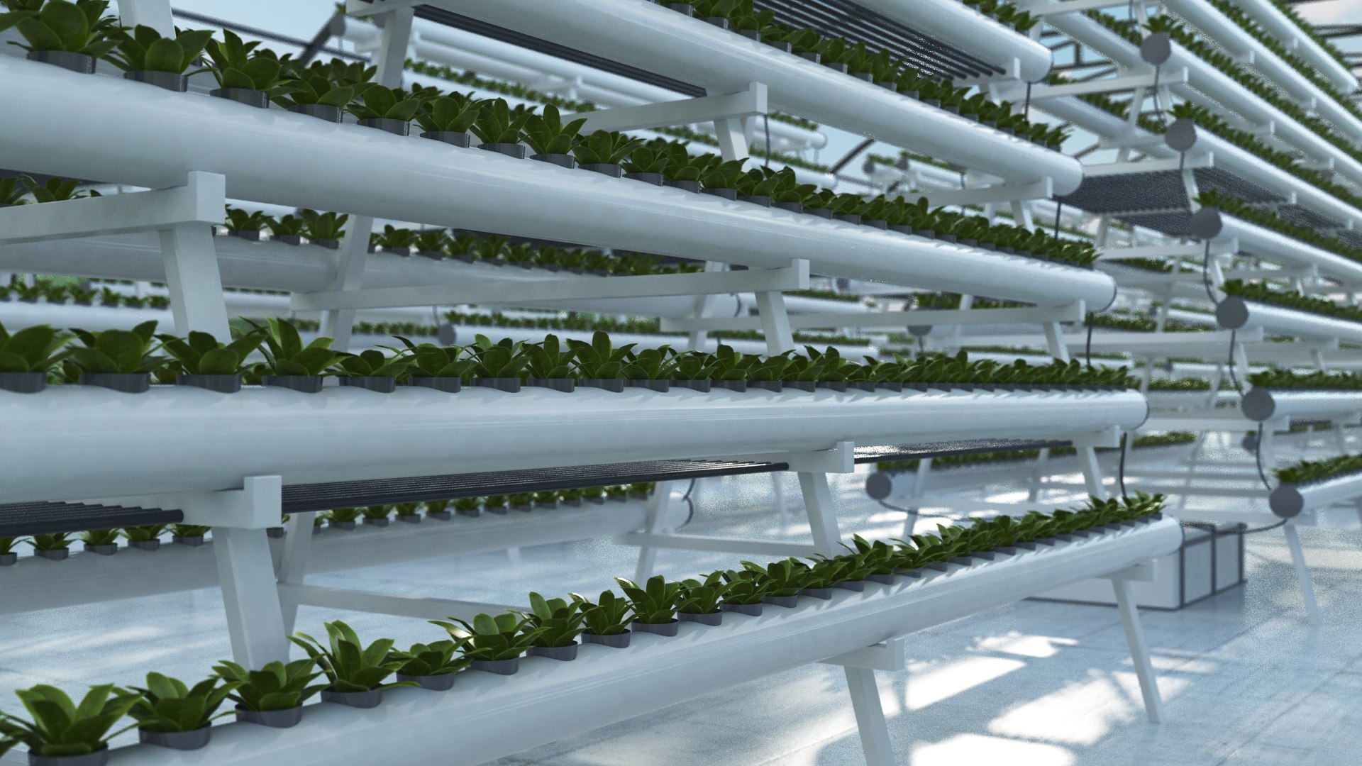 Hydroponics Vertical Farm 03 3D Model - TurboSquid 1882527