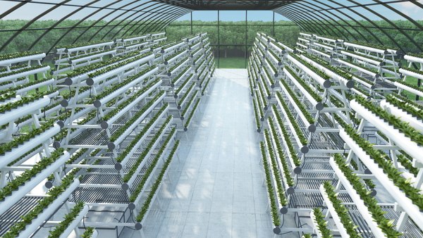 Hydroponics Vertical Farm 03 3D model - TurboSquid 1882527