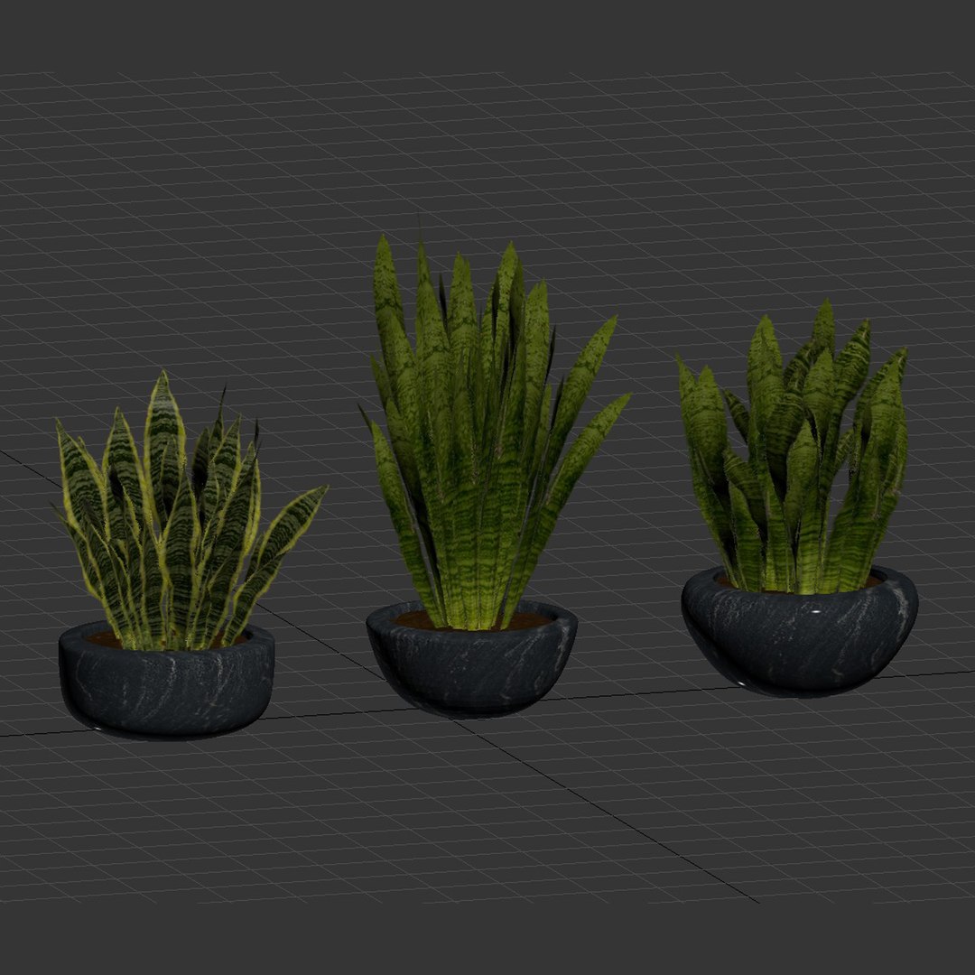 Snake Plants Vol 387 3D Model - TurboSquid 2528224