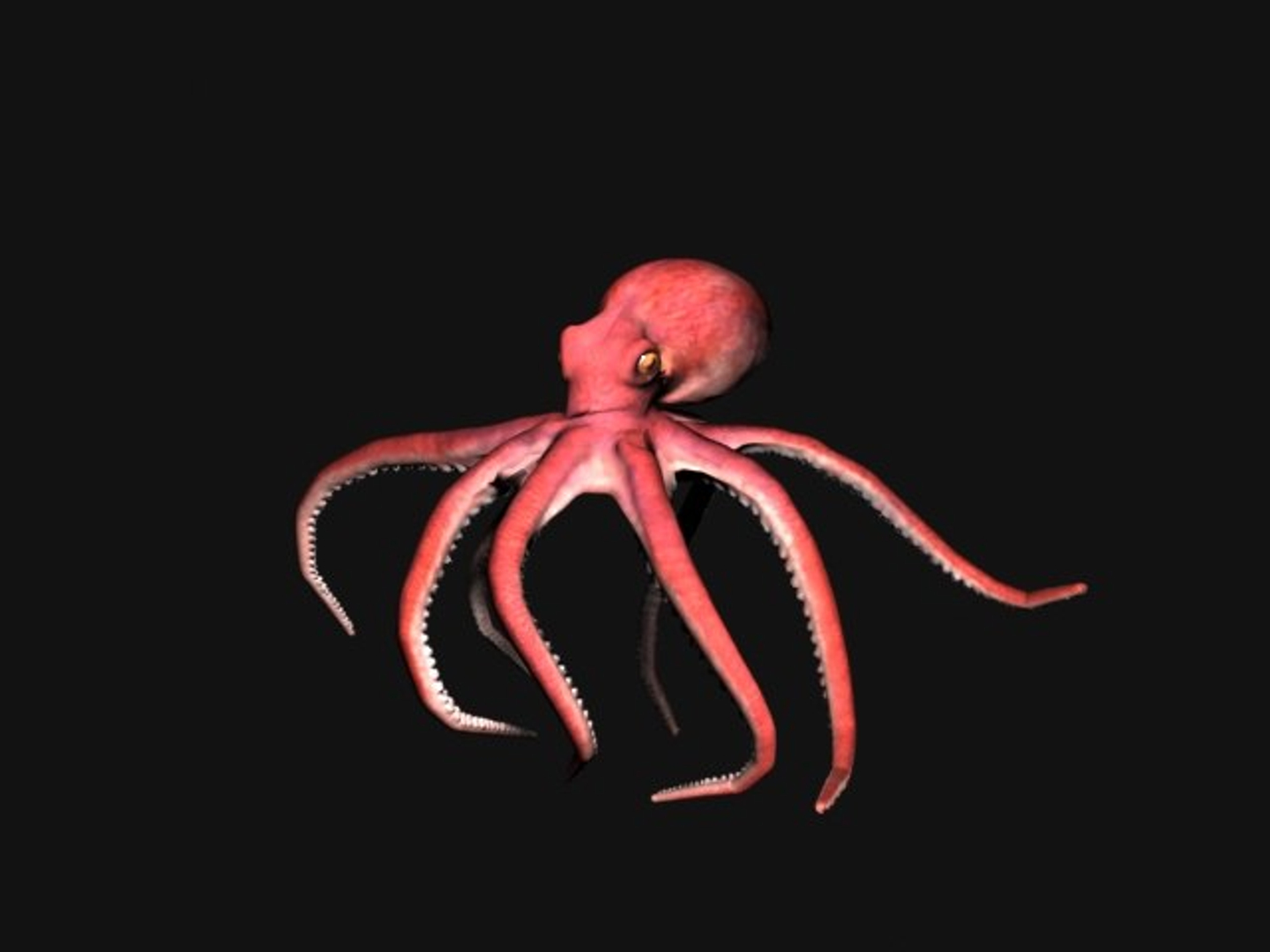 3d max rigged octopus animation