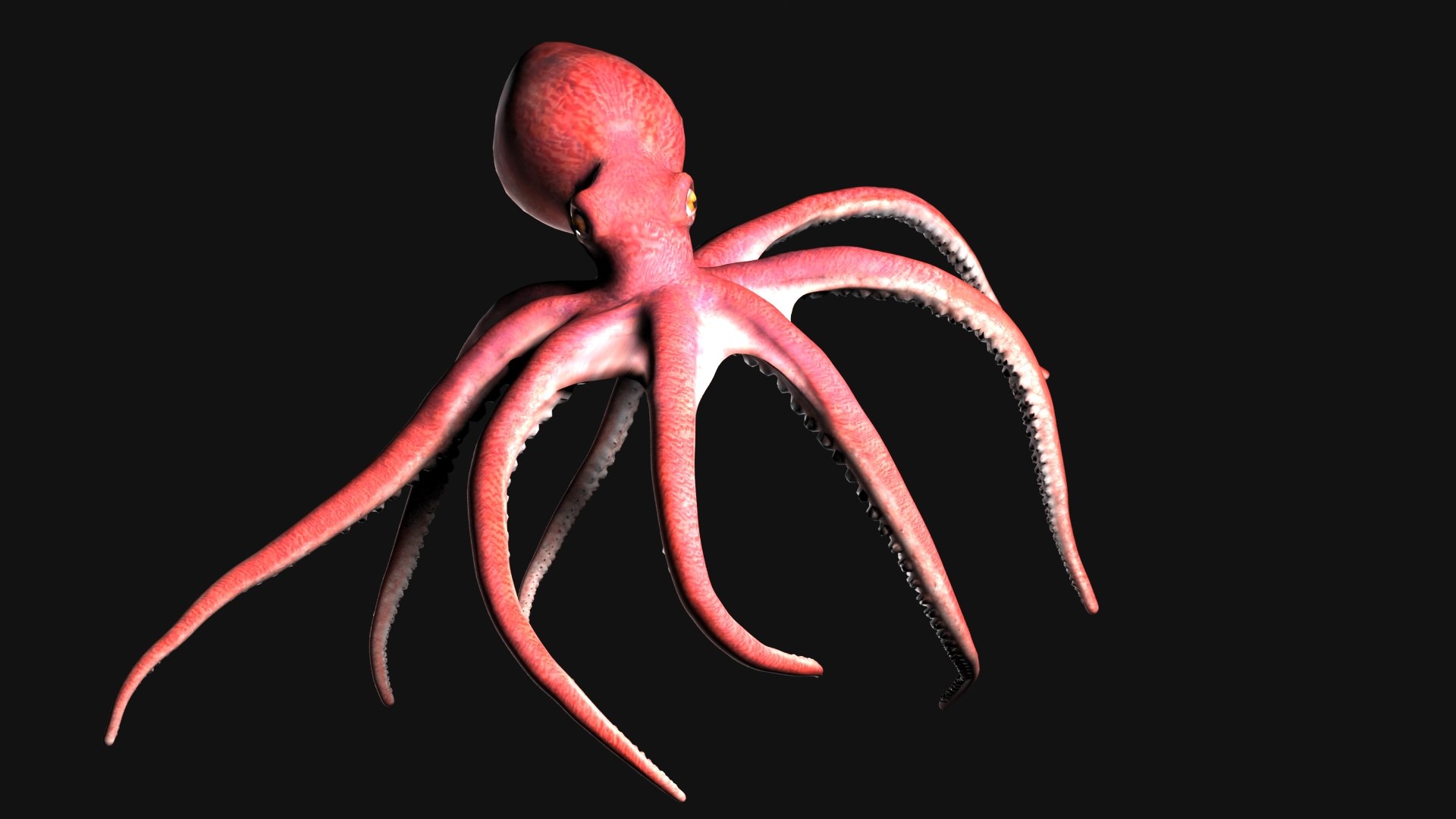 3d max rigged octopus animation
