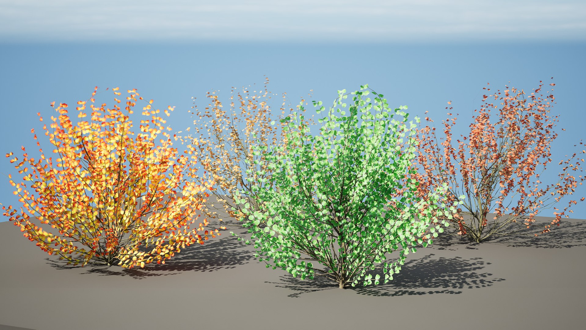 3D Witch Hazel 3d In 4 Seasons - TurboSquid 2170375