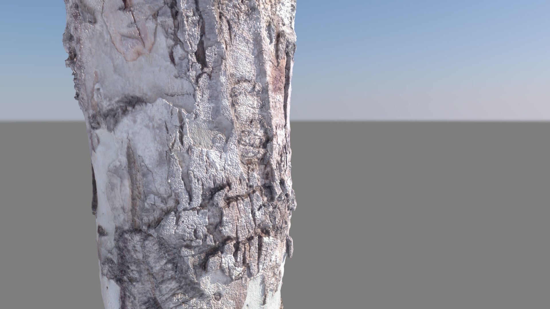 Free Tree 3D - TurboSquid 1298498