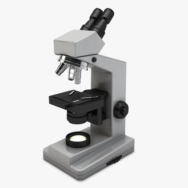 pool inflatable 3d model