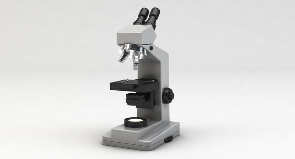 3d microscope micro