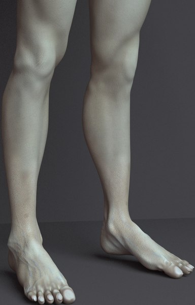 3D female werewolf hedgehog model - TurboSquid 1519527