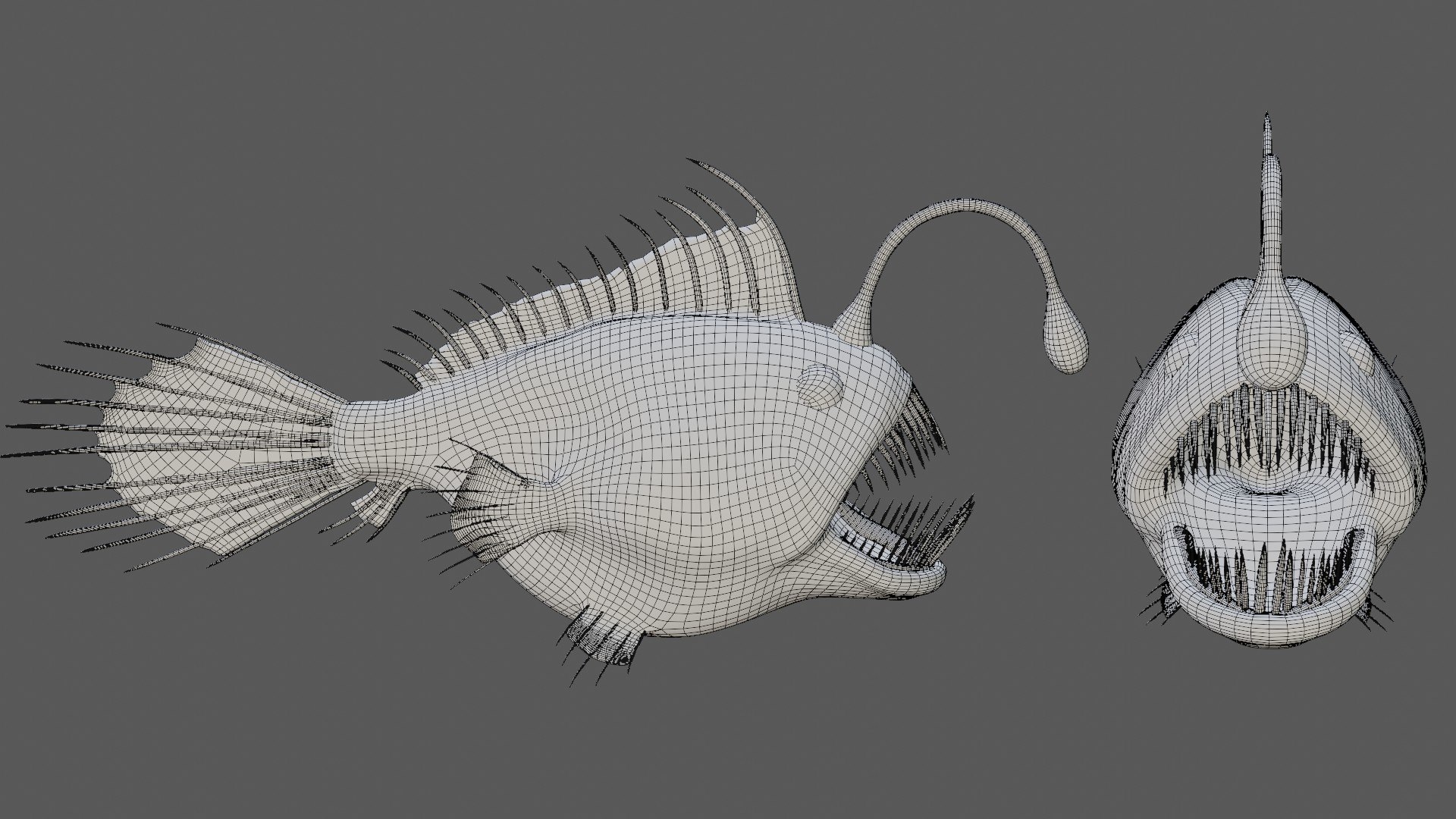 Anglerfish 3D Model - TurboSquid 1773852