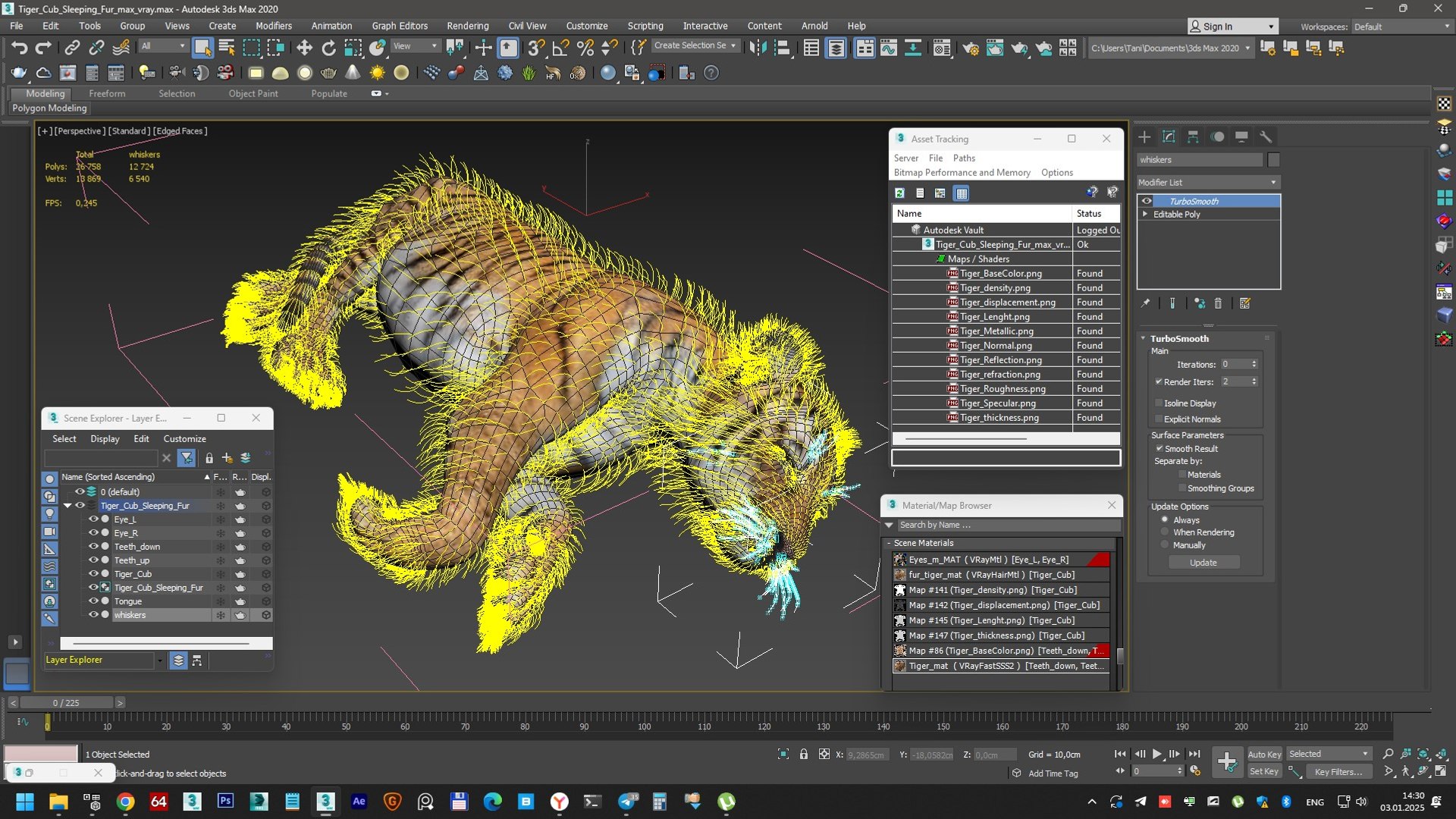 Tiger Cub Sleeping Fur 3D Model - TurboSquid 2340791