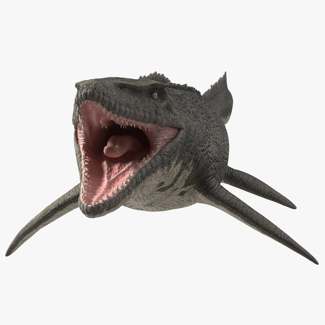 3D Mosasaurus Rigged for Cinema 4D model - TurboSquid 1942087