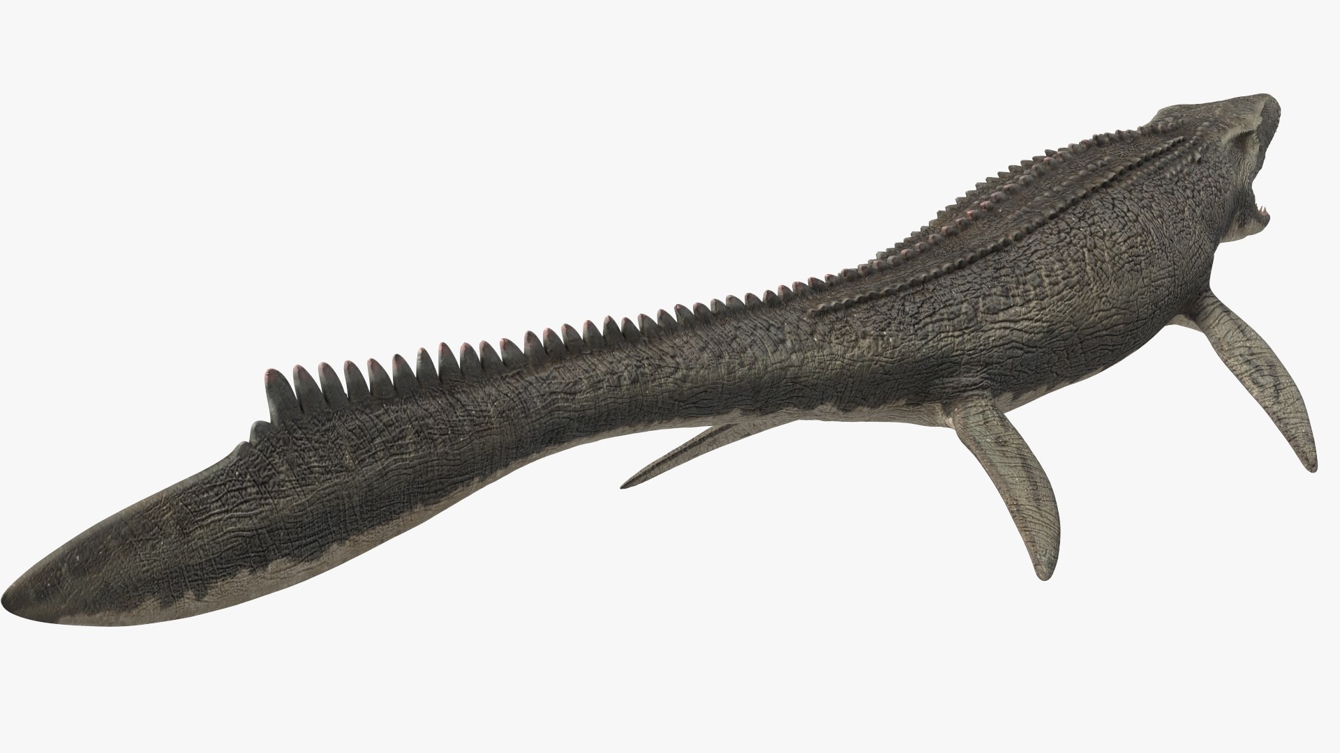 3D Mosasaurus Rigged for Cinema 4D model - TurboSquid 1942087