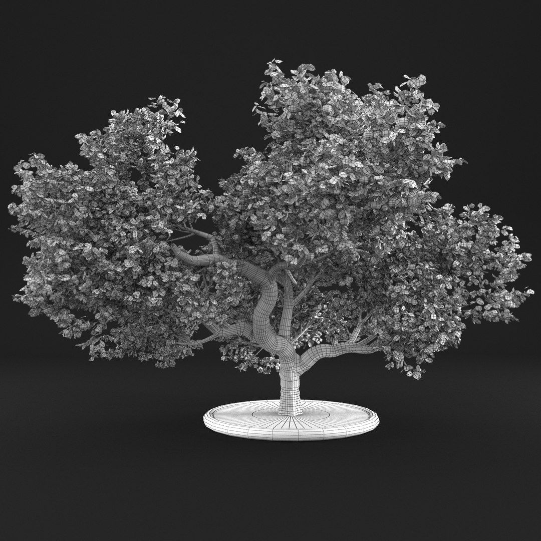 Apple Tree 3D Model - TurboSquid 1159272