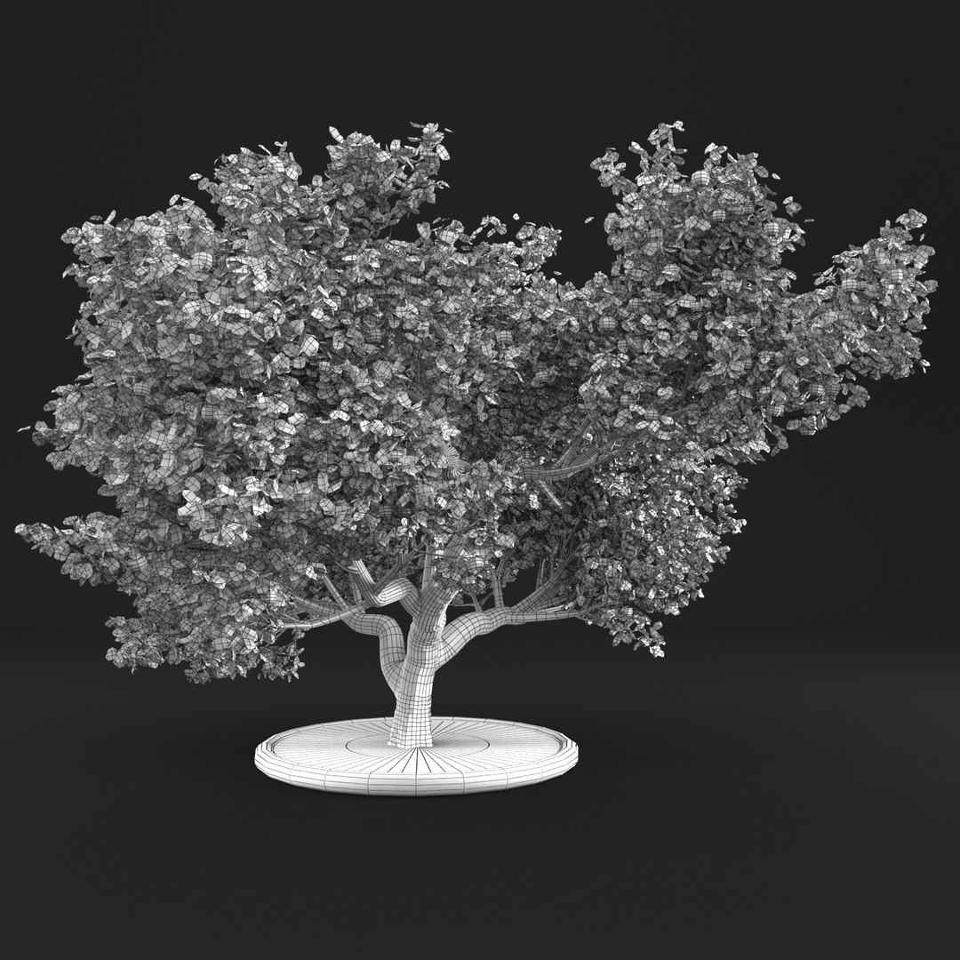 Apple Tree 3D Model - TurboSquid 1159272