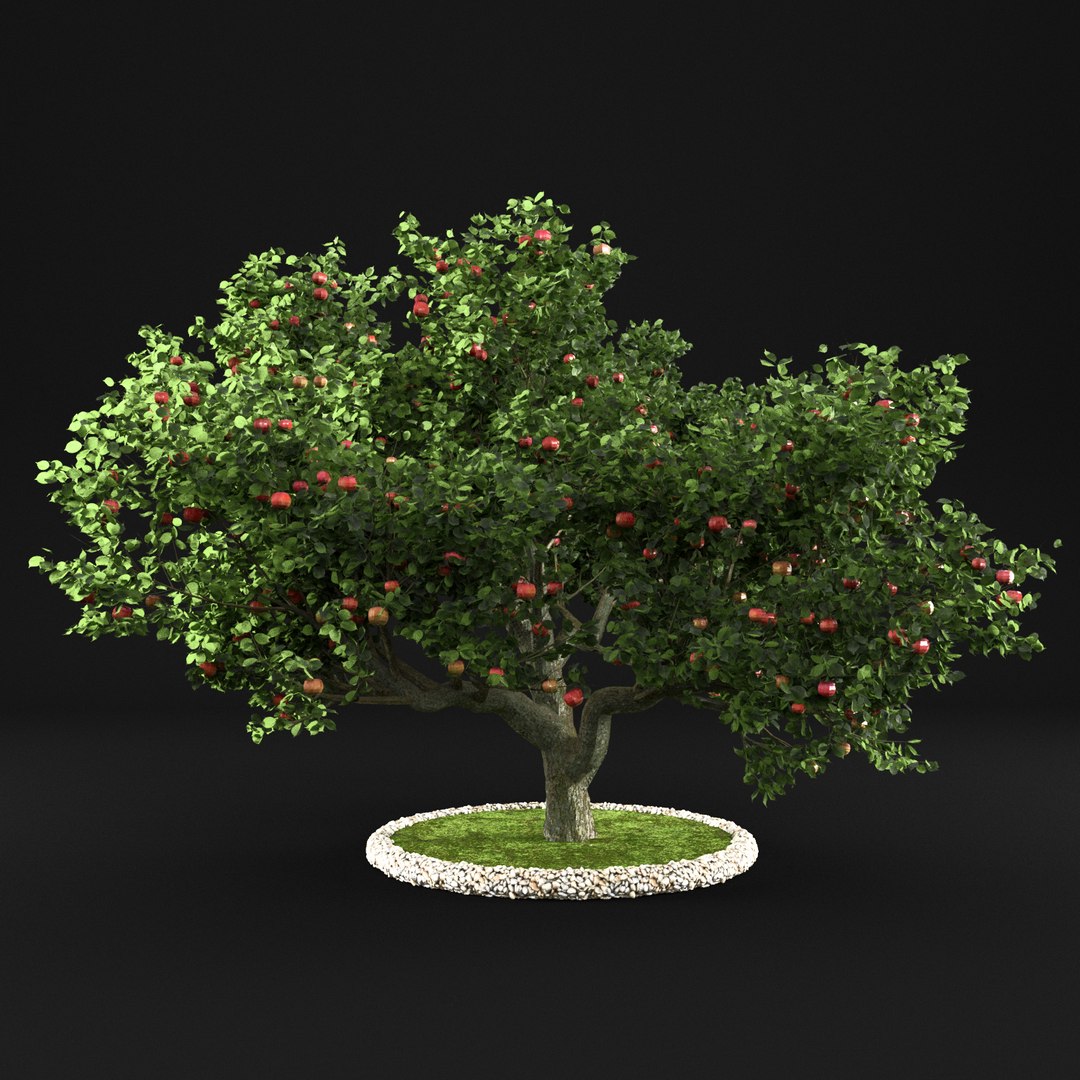 Apple Tree 3D Model - TurboSquid 1159272