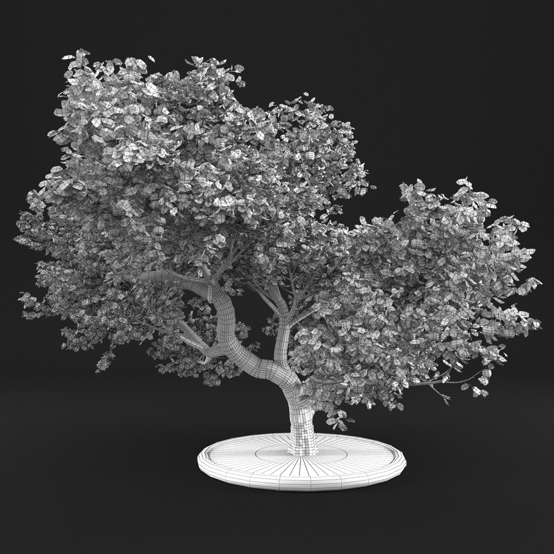 Apple Tree 3D Model - TurboSquid 1159272
