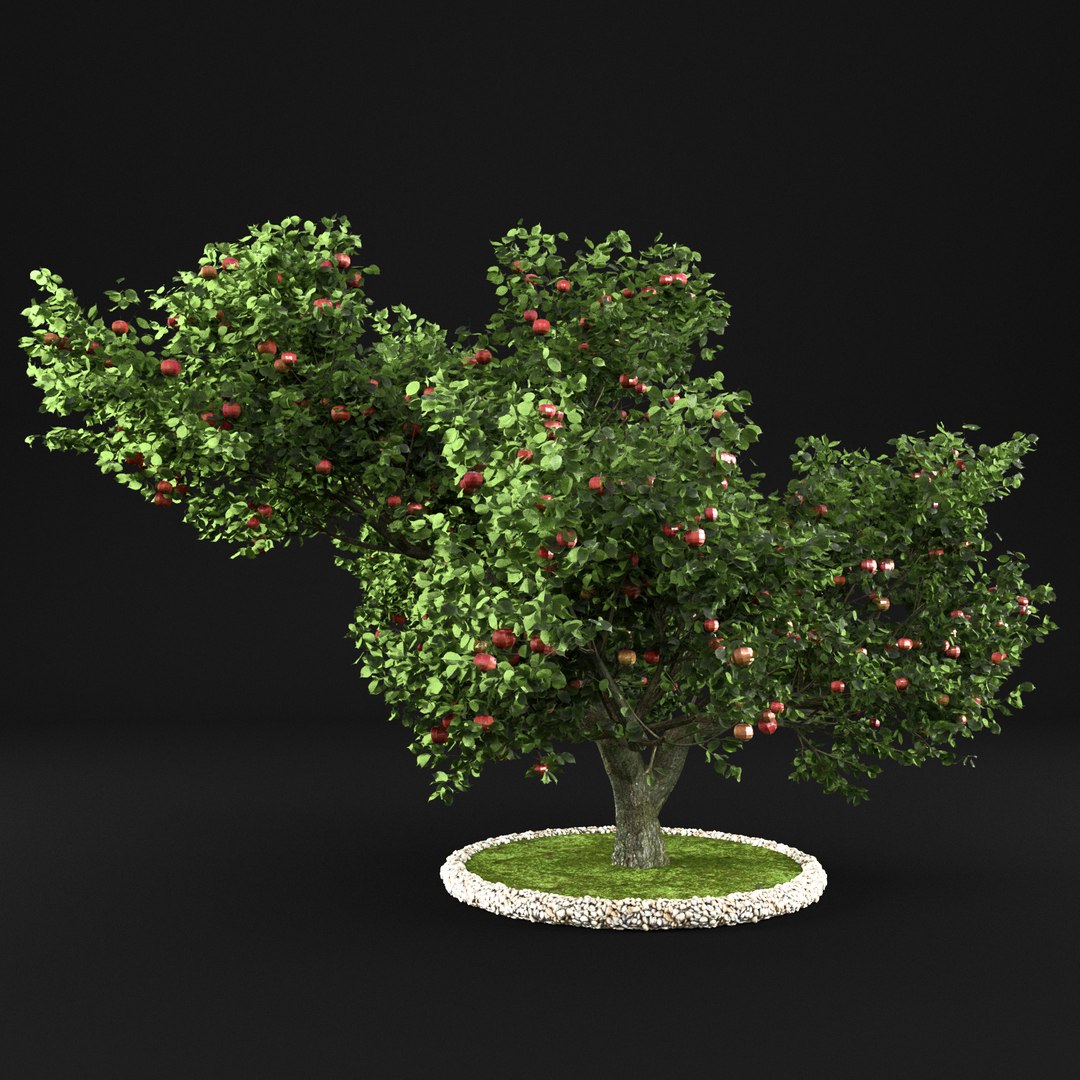 Apple Tree 3D Model - TurboSquid 1159272