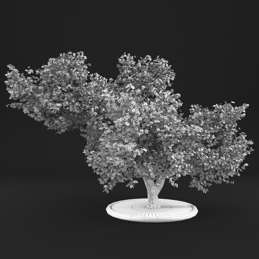 Apple Tree 3D Model - TurboSquid 1159272