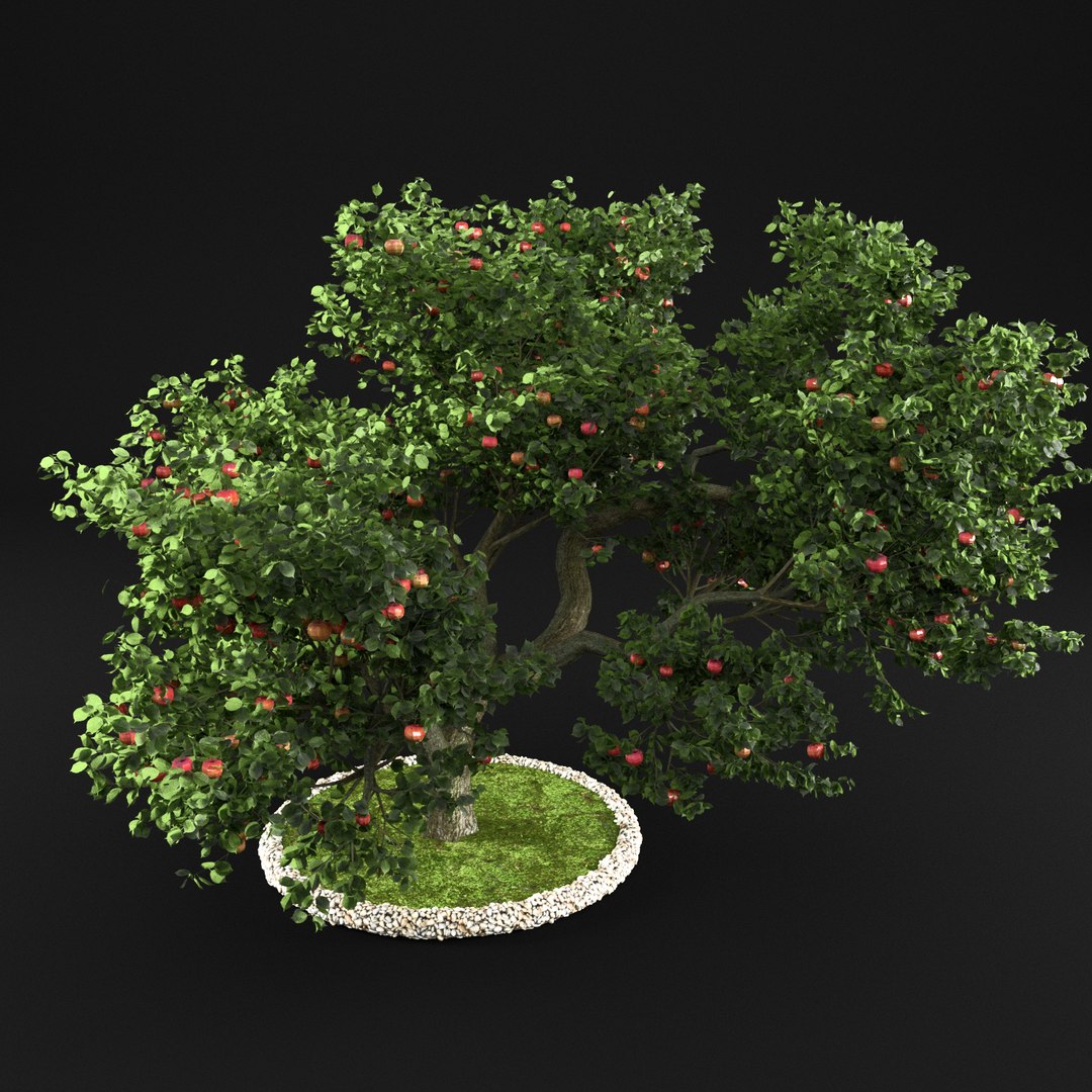 Apple Tree 3D Model - TurboSquid 1159272
