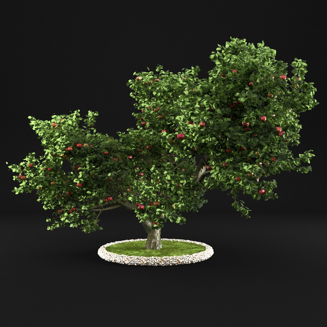 Apple Tree 3D Model - TurboSquid 1159272