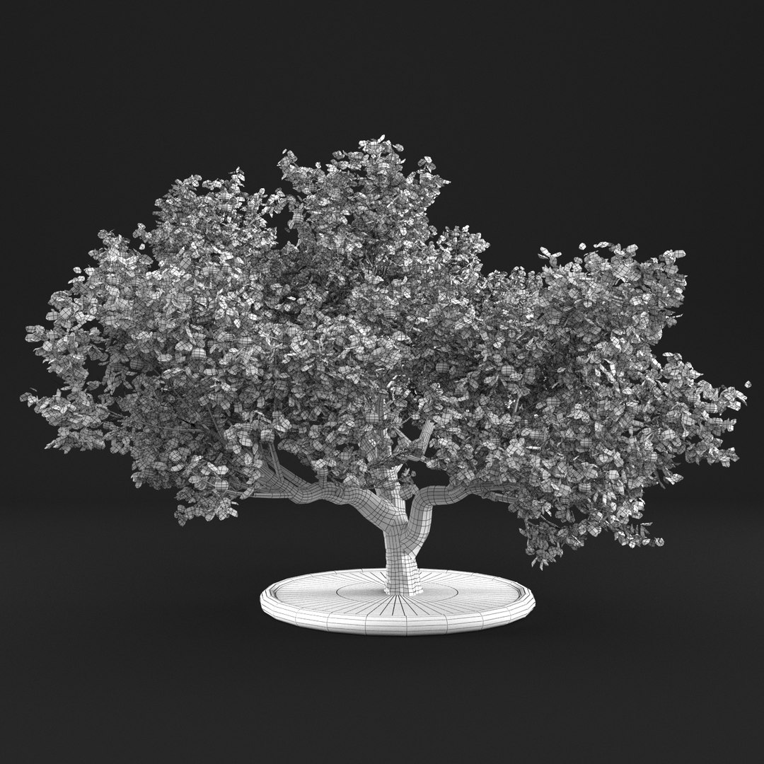 Apple Tree 3D Model - TurboSquid 1159272
