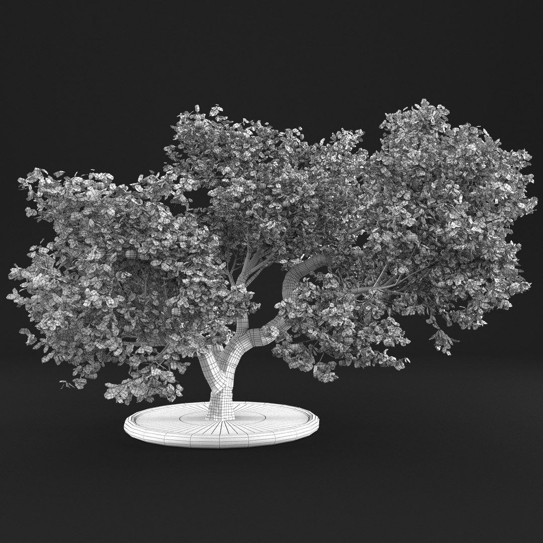 Apple Tree 3D Model - TurboSquid 1159272
