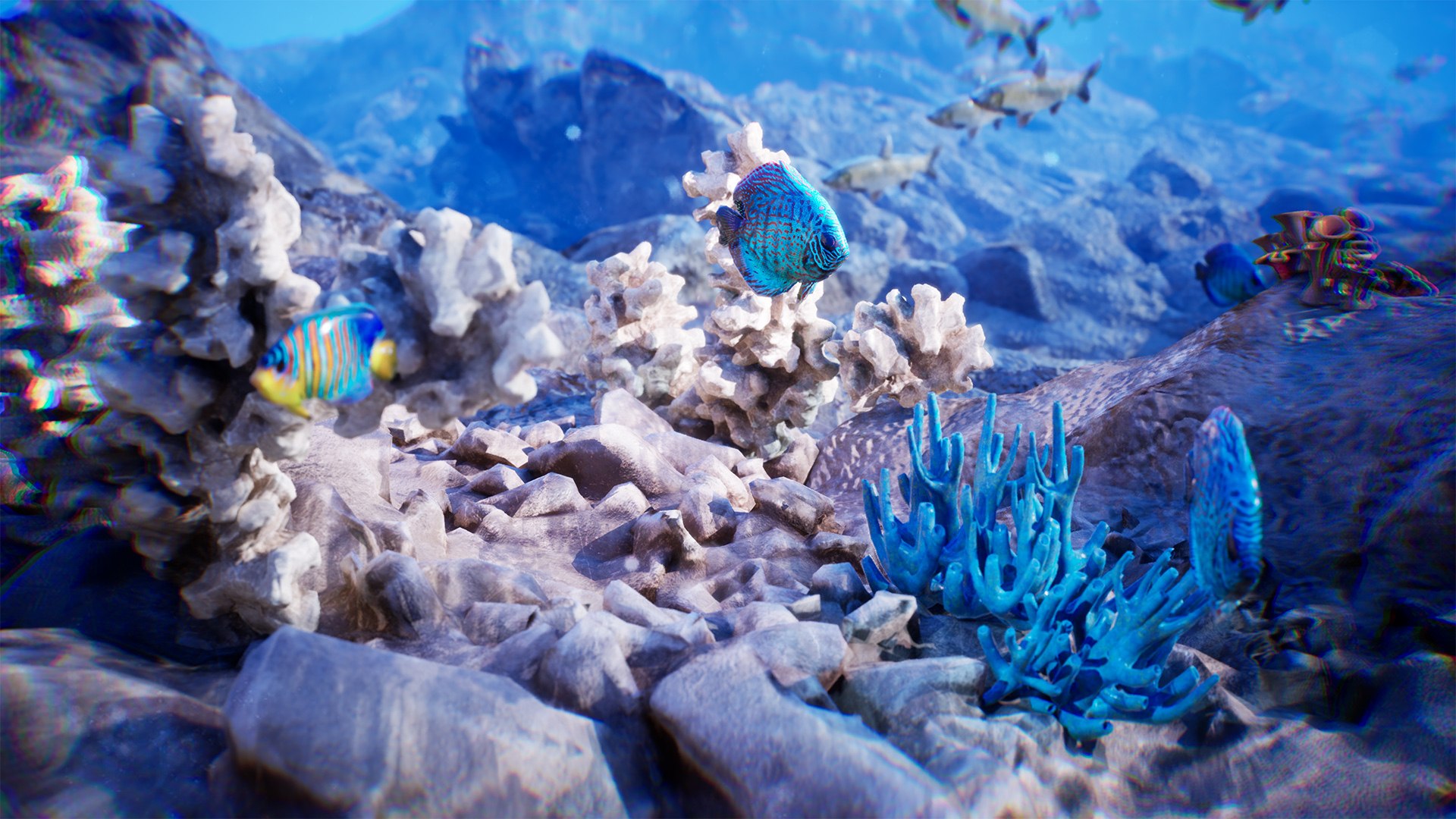 3D Model Ocean Floor Pack High Quality Environment - TurboSquid 2106276