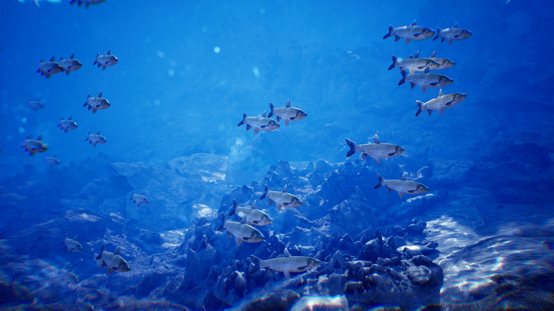 3D Model Ocean Floor Pack High Quality Environment - TurboSquid 2106276